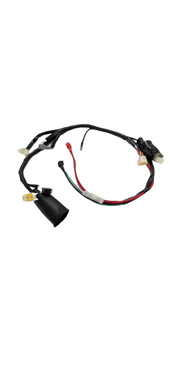WIRING HARNESS – Apollo Motors Canada