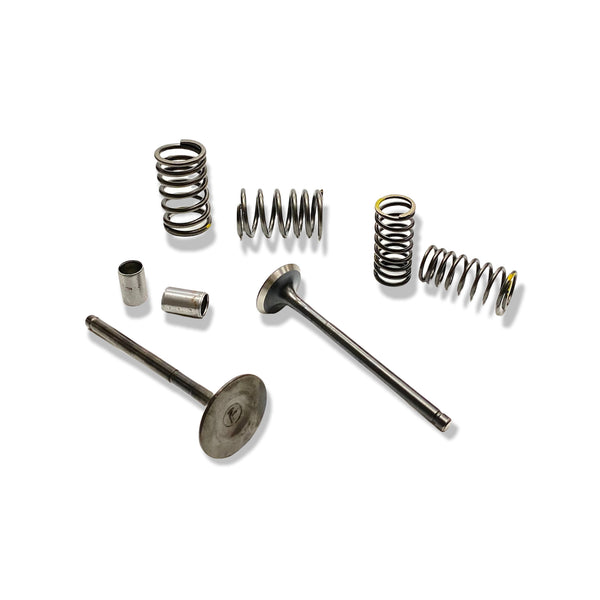 VALVES ASSY – Apollo Motors Canada
