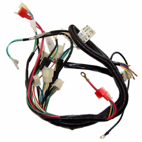 WIRING HARNESS – Apollo Motors Canada
